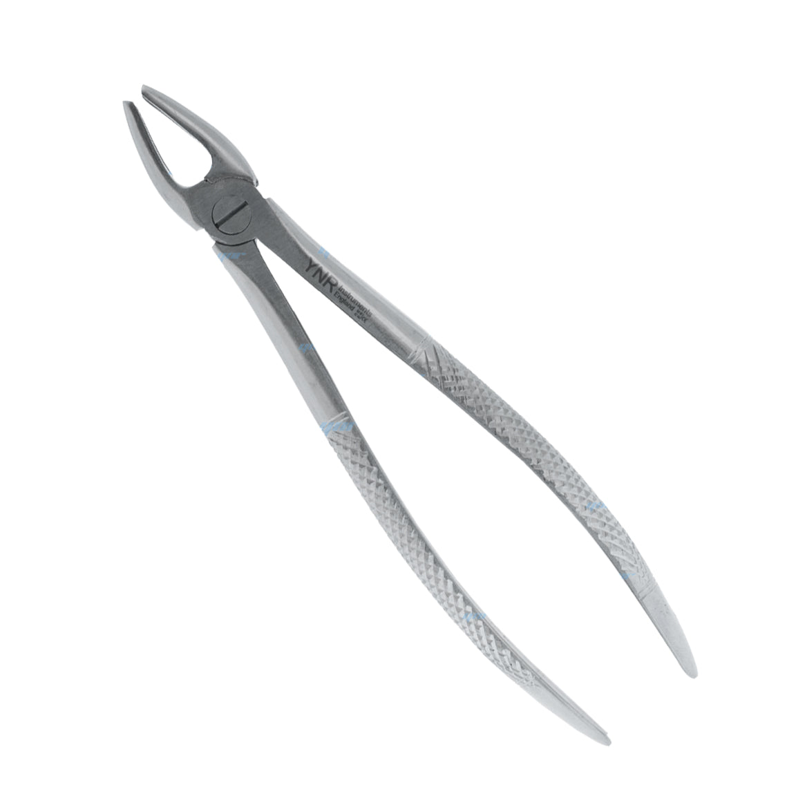 YNR® Dental forceps Dental Forceps No. 2 Upper Root Extraction – YNR ...