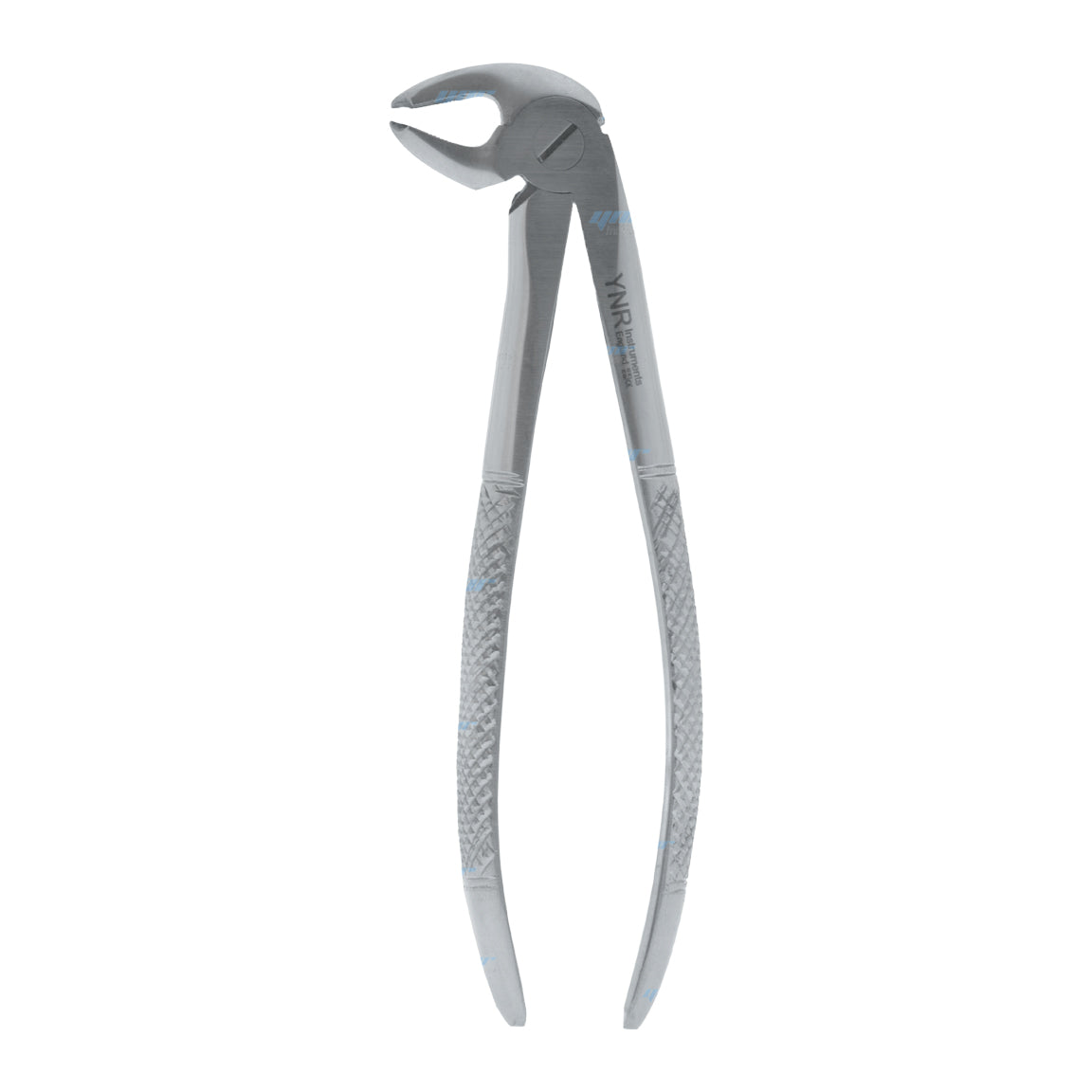 YNR® Dental forceps Dental Forceps No. 22 Lower Molar Extraction – YNR ...