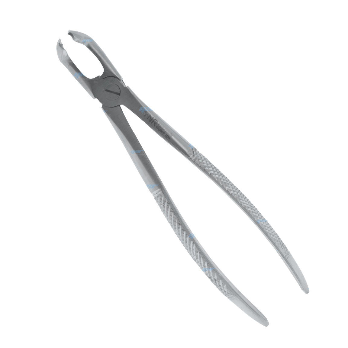 YNR® Dental Forceps No. 79C Lower Third Molar Extraction – YNR Instruments